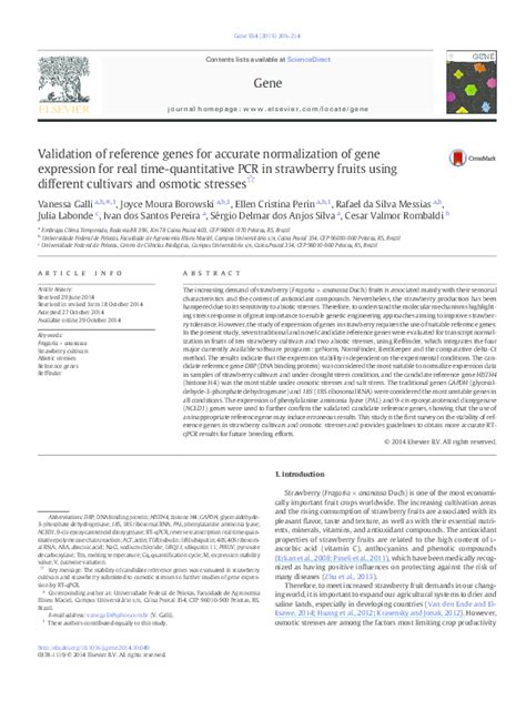 Pdf Validation Of Reference Genes For Accurate Normalization Of Gene Expression For Real Time