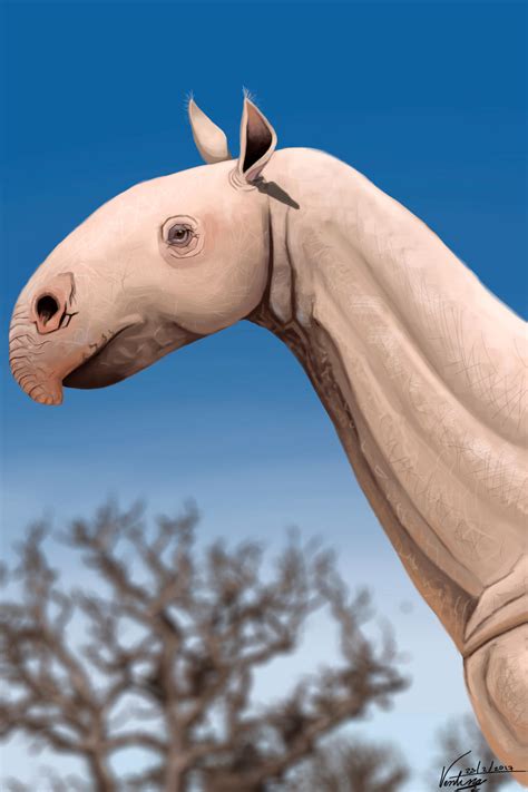 Paraceratherium Transouralicum By Venturasalas On Deviantart