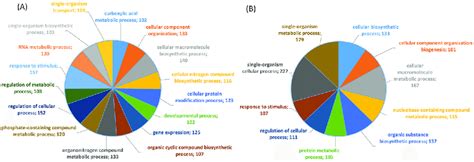 Multilevel Distribution Of The Differentially Expressed Annotated Download Scientific Diagram