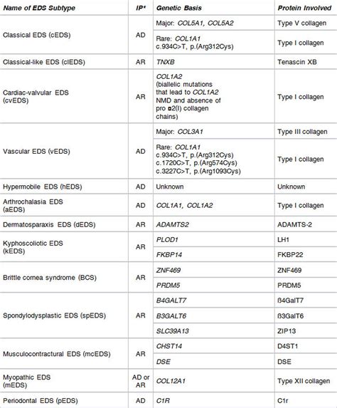 Ehlers Danlos Syndrome Causes Types Symptoms Treatment