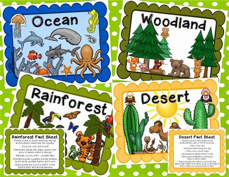 Free Classifying Cliparts Download Free Classifying Cliparts Png