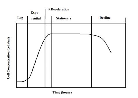 Phases Of Culture Growth During Fermentation Biology Ease
