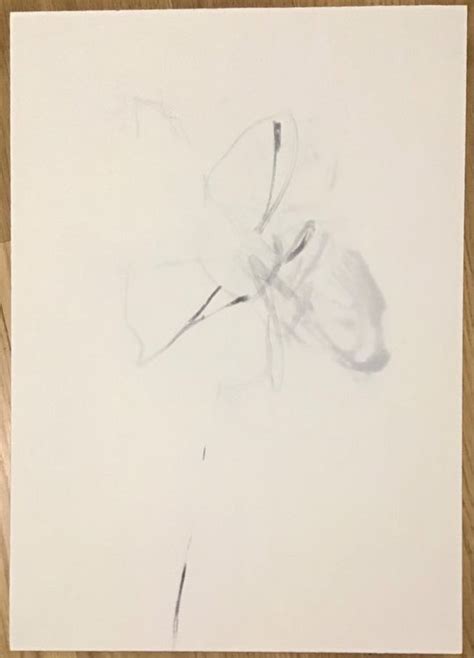 Barbara Ellmerer 1956 Sehr Seltener Lithographie Handsigni Gebraucht