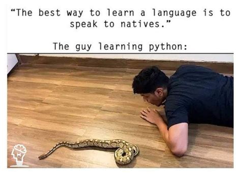 The First Time I Learned Python The First Time I Printed Print“hello