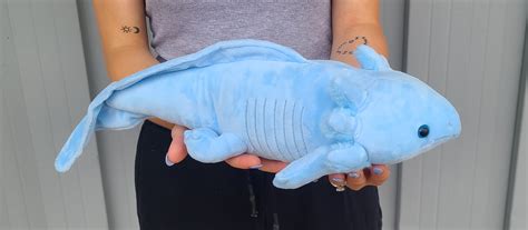 Plush Axolotl Blue Gm Axolplushb