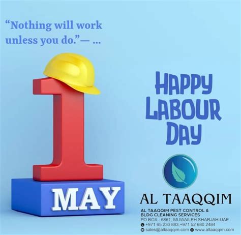 sainul abid posted on linkedin