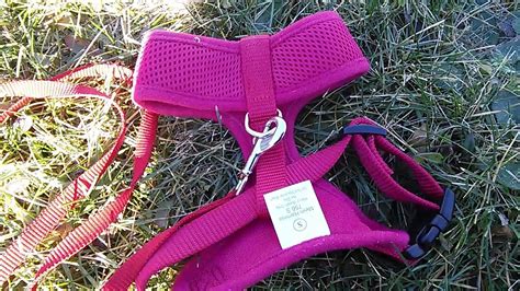 Review on the my pet Chicken harness - YouTube
