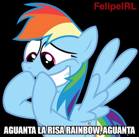 Rainbow Dash Meme