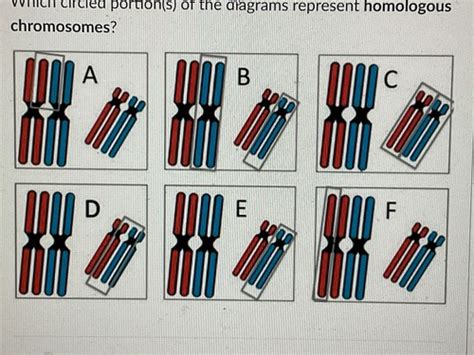 Biol 121 Midterm 1 Flashcards Quizlet