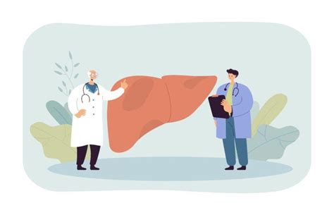 Understanding Crp In Liver Top 5 Causes Elevated Levels And