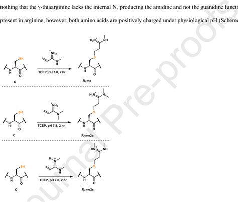 Scheme 5 The Synthetic Strategy To Obtain γ Thiaarginine Based Mimics