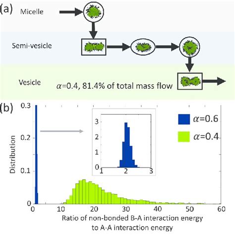 Pdf Elucidating Dominant Pathways Of The Nano Particle Self Assembly