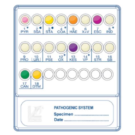 Galerie Didentification Pathogenic System 20 Tests