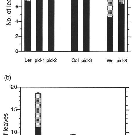 Origin Of Pinoid And Pin Formed Mutant Alleles Download Scientific Diagram