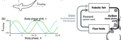 Schematics Of The Test Procedure For Proprioceptive Sensing Feedback