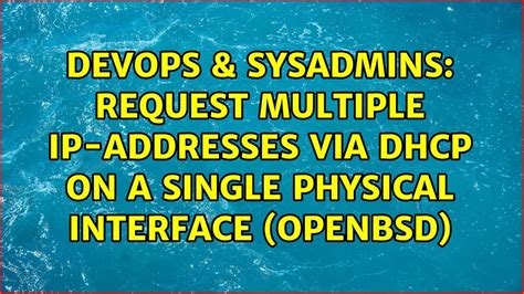 Devops And Sysadmins Request Multiple Ip Addresses Via Dhcp On A Single Physical Interface