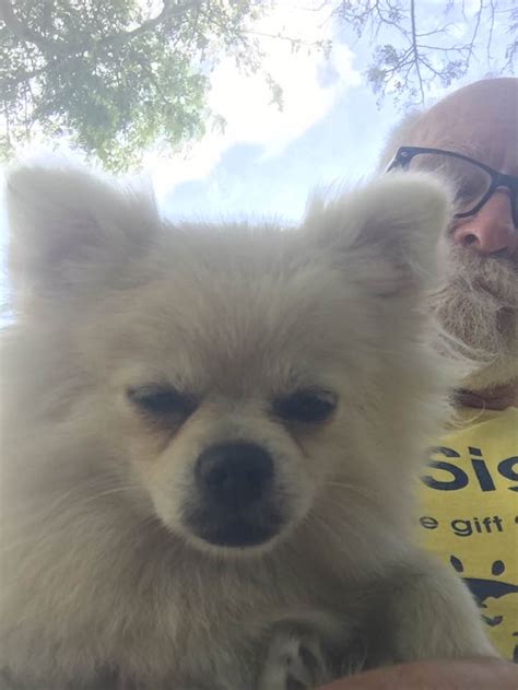 Re Elect Brian Clapper