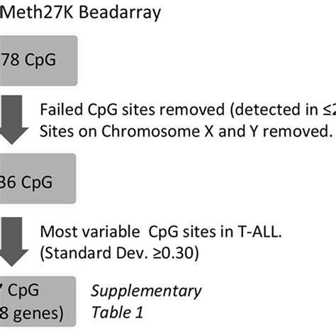 Schematic Overview Of The Methylation Array Analysis Download