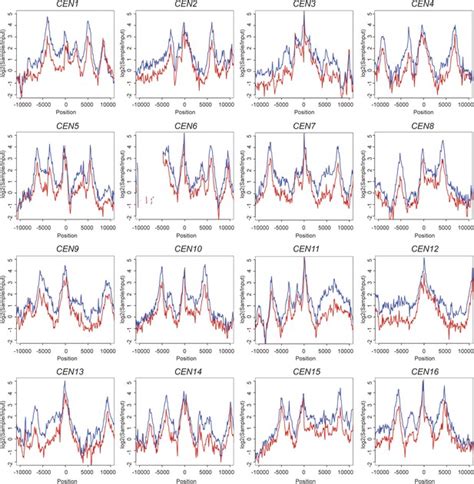 Figures And Data In Structural Evidence For Scc4 Dependent Localization Of Cohesin Loading Elife