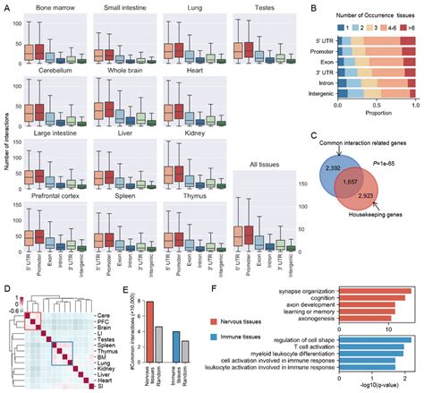 Basic Characteristics Of The Reconstructed Cis Regulatory Interaction Download Scientific