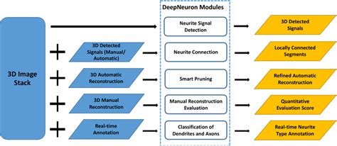 the workflow of the open source deepneuron toolbox which has five deep