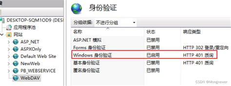 Iis Webdav配置，绑定及asp设置 Csdn博客