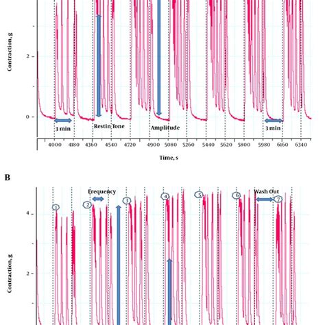 Uterine Contractions After Exposure To Oxytocin Oxy Uterine