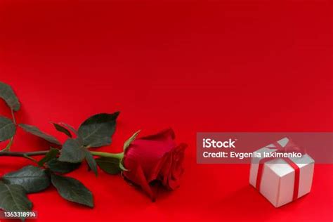 빨간 리본과 빨간 배경에 장미 꽃이 있는 선물 상자 발렌타인 데이 기념일 어머니의 날과 생일 복사 공간 최고 보기에 대한 인사말의 개념 0명에 대한 스톡 사진 및 기타