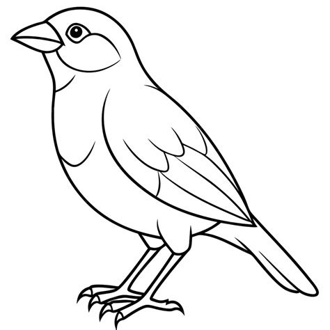 A Coloring Page Of An Bobolink With No Color Just Black Lines Vector