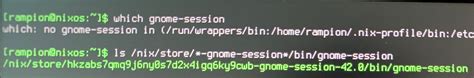 NixOS 22 05 GNOME ISO Didn T Put Gnome Session In PATH Help NixOS Discourse