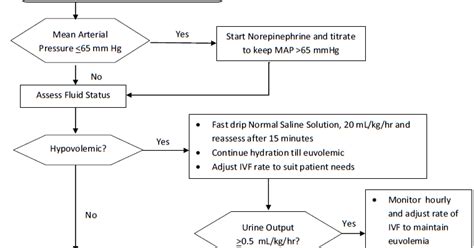 Public Health Resources Algorithm For The Management Of Oliguria In
