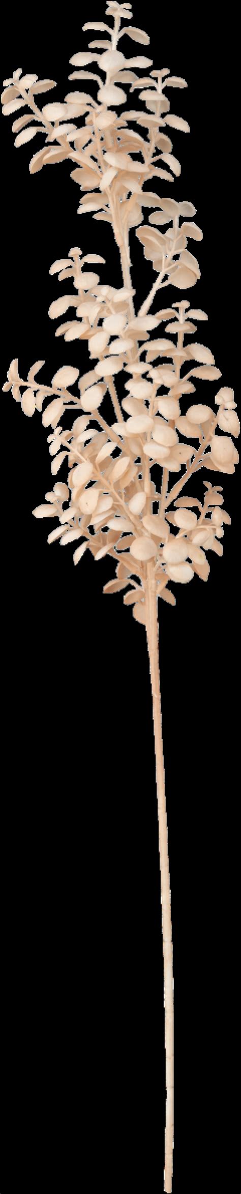 Teko Oksa Shell 75 Cm Prisma Verkkokauppa