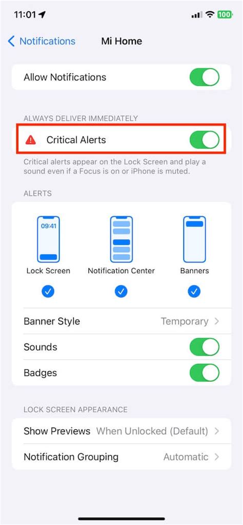 How To Get Rid Of Home Critical Alerts On IPhone
