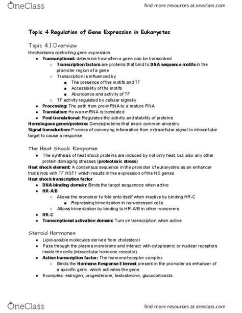 MCB Study Guide Winter Midterm Glucocorticoid Heterochromatin Autophagy
