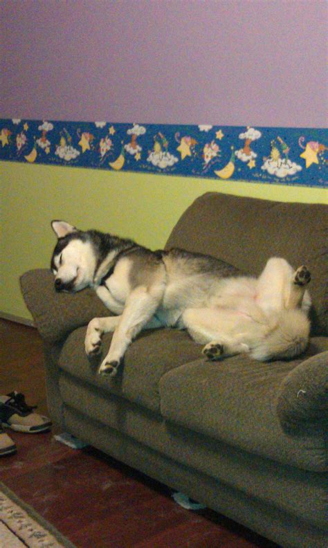 Goodnight Reddit Rfunny