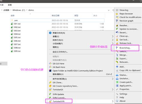 Svn 分支branch和标签tag管理 Csdn博客
