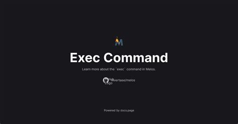 Exec Command