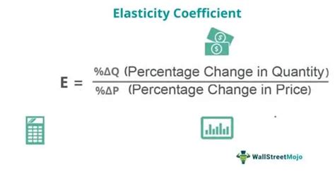 Elasticity Coefficient Definition Formula Examples