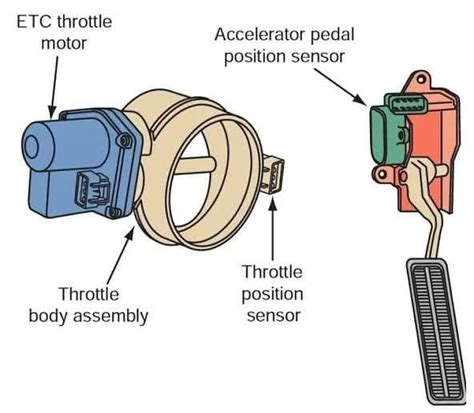 Auto Veteran - The Accelerator Pedal Position Sensor...