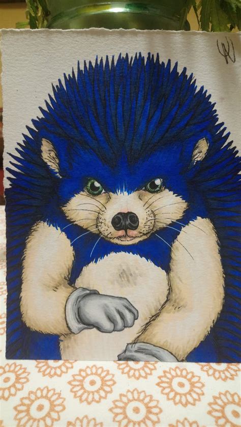 Realistic Sonic Sonic Rpandart Amino
