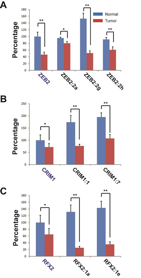 Genome Wide Transcript Profiling Reveals Novel Breast Cancer Associated Intronic Sense Rnas