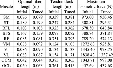 the tuned model parameters for each muscle initial values were