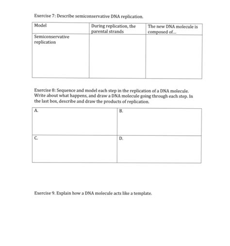 Solved Describe Semiconservative DNA Replication Sequence Chegg