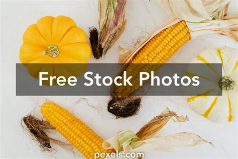 Buttonsdatatablesmincss Cob Photos Download The Best Free Buttons