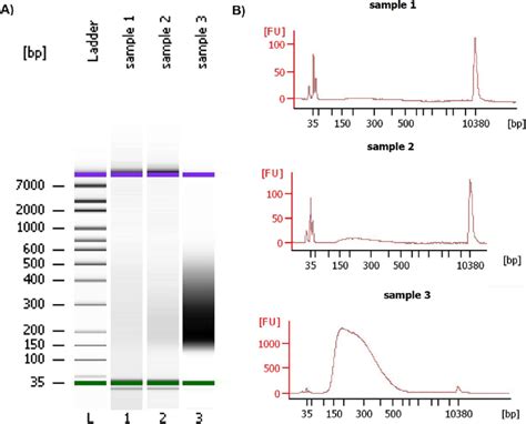 A Microfluidic Electrophoretic Separation Of The Different Methods Of Download Scientific