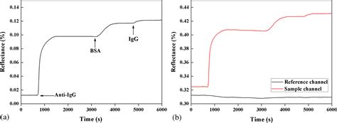 Site Directed Immobilization Of Antibody Using Edc Nhs Activated