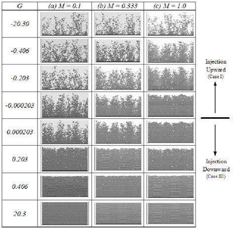2 Visualizations Of Breakthrough Saturation And Fractal Dimensions Download Scientific Diagram