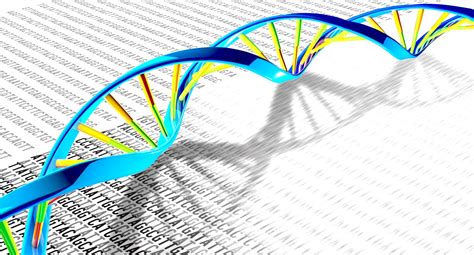 Genomic Data Analytics And Interpretation Dromics Labs
