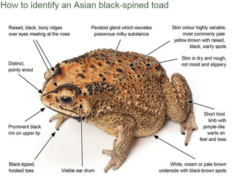 [diagram] er diagrams in toad mydiagram online