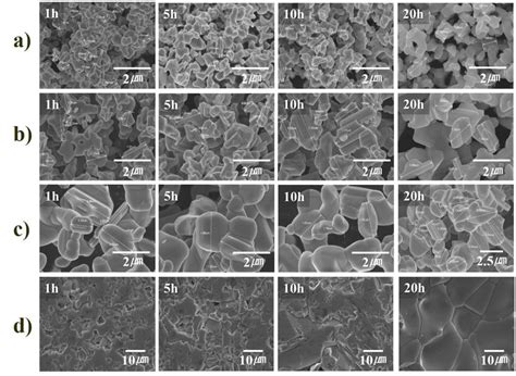 Morphological Evolution Of The Ti Nb O Samples Heat Treated At A 800